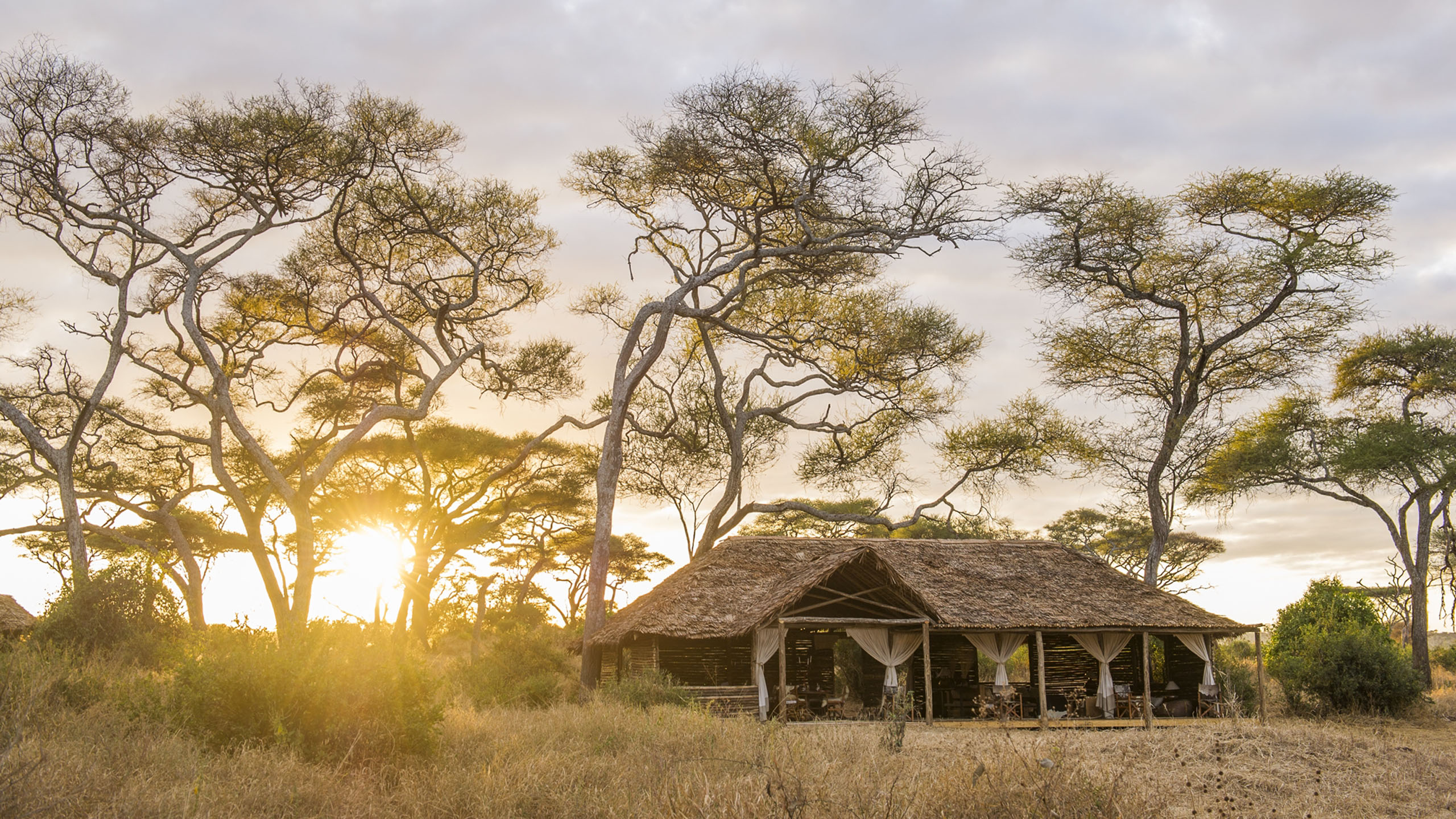 Kuro Tarangire | Luxury Camp In Tarangire National Park
