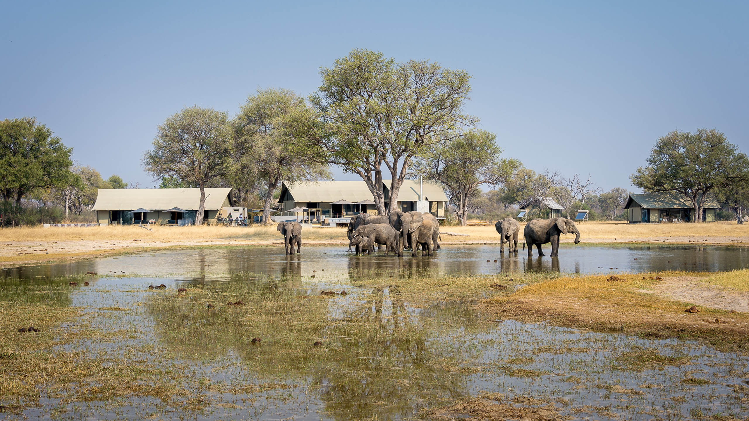 Wilderness Linkwasha Camp | Luxury Camp Hwange National Park