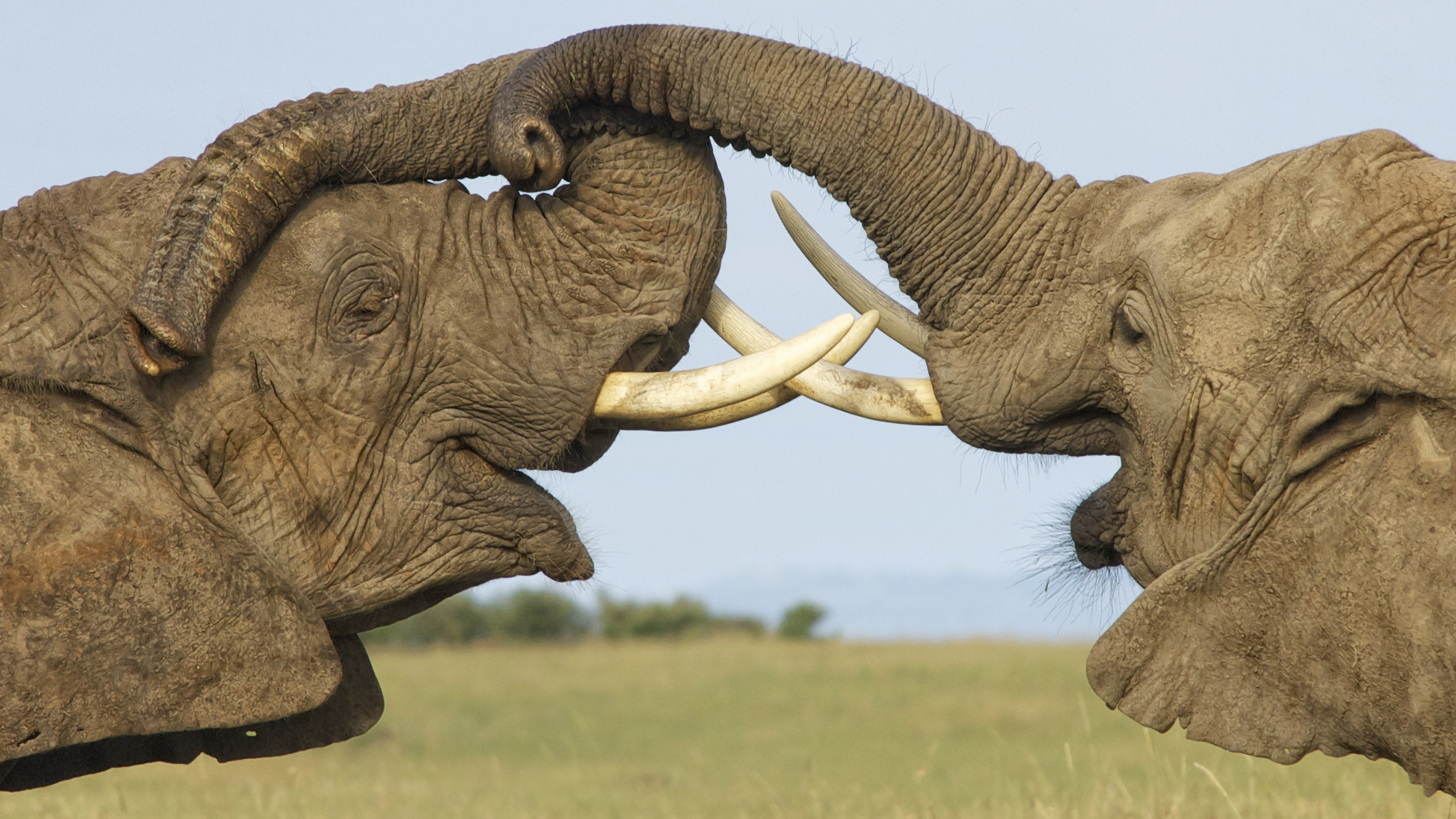 Luxury Lewa Tours, Private & Tailor-made for 2026