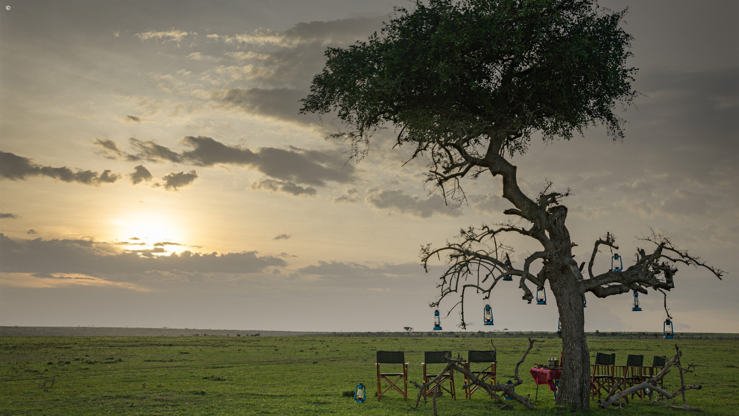 Encounter Mara Camp | Luxury Hotel In Mara Conservancies
