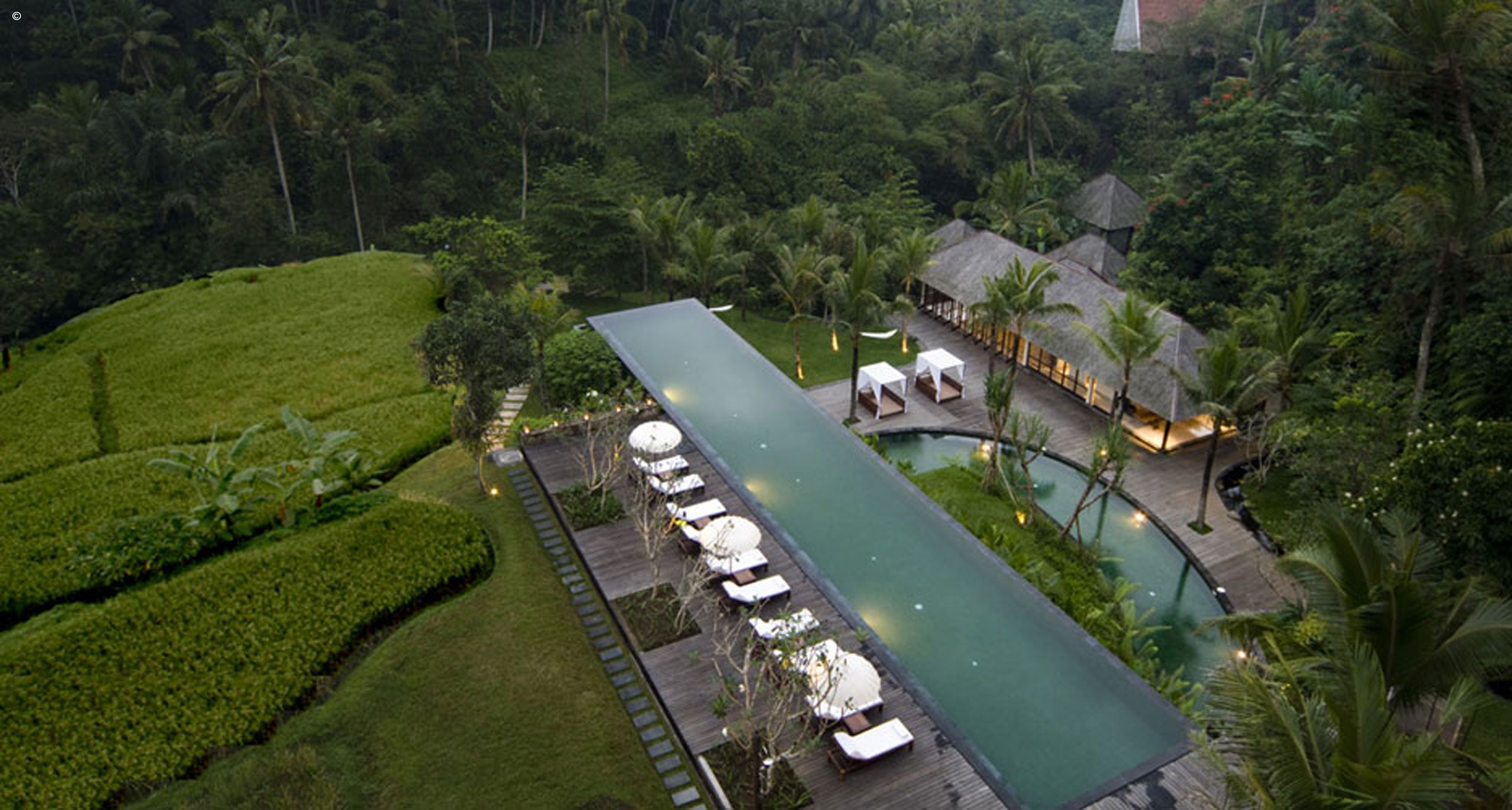Komaneka at Bisma - Luxury Hotel In Ubud | Jacada Travel