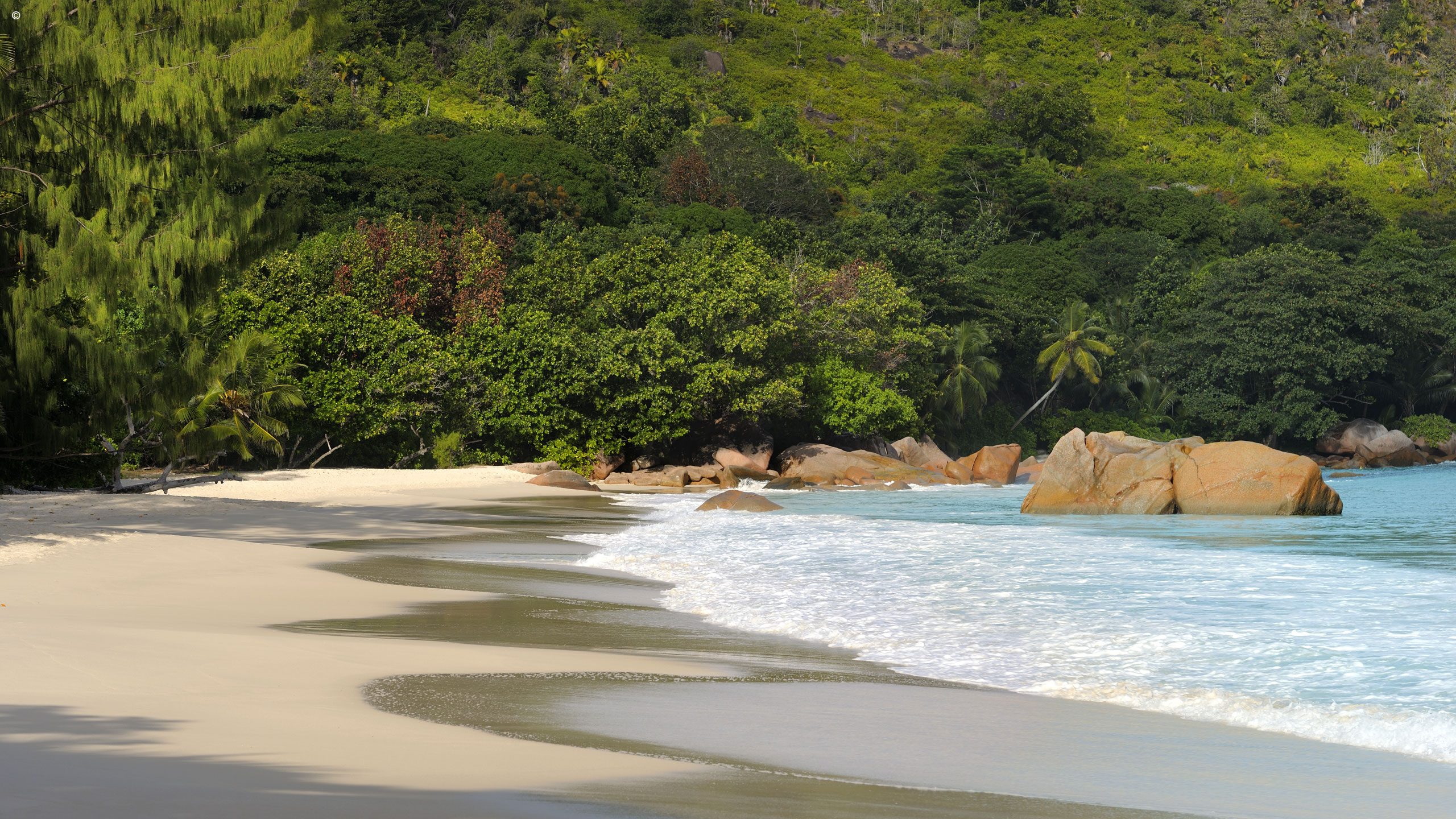 Luxury Praslin Island Tours, Private & Tailor-made for 2026