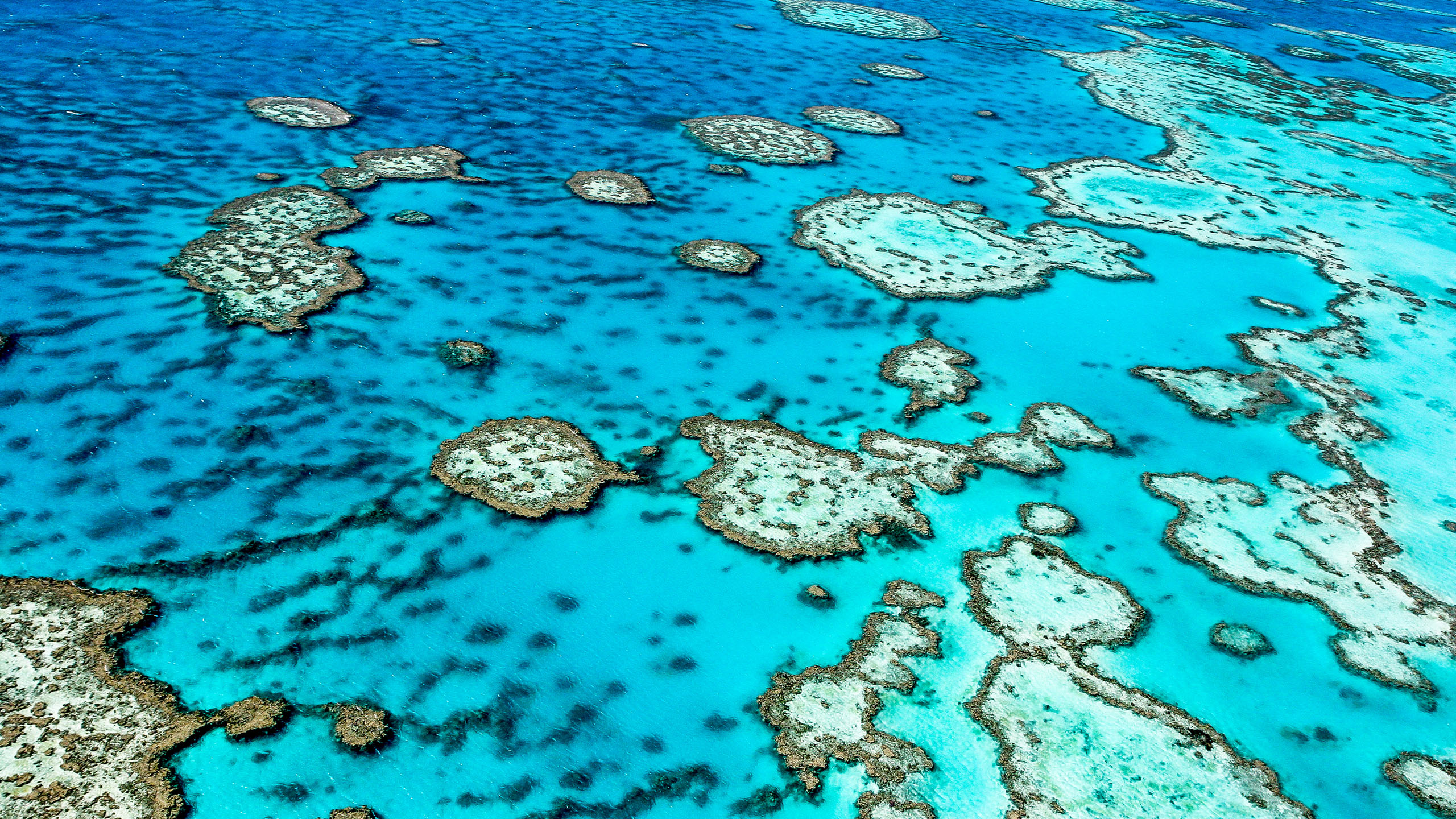 Great Barrier Reef & Northern Queensland - Tailor-made Trips 2026/2027