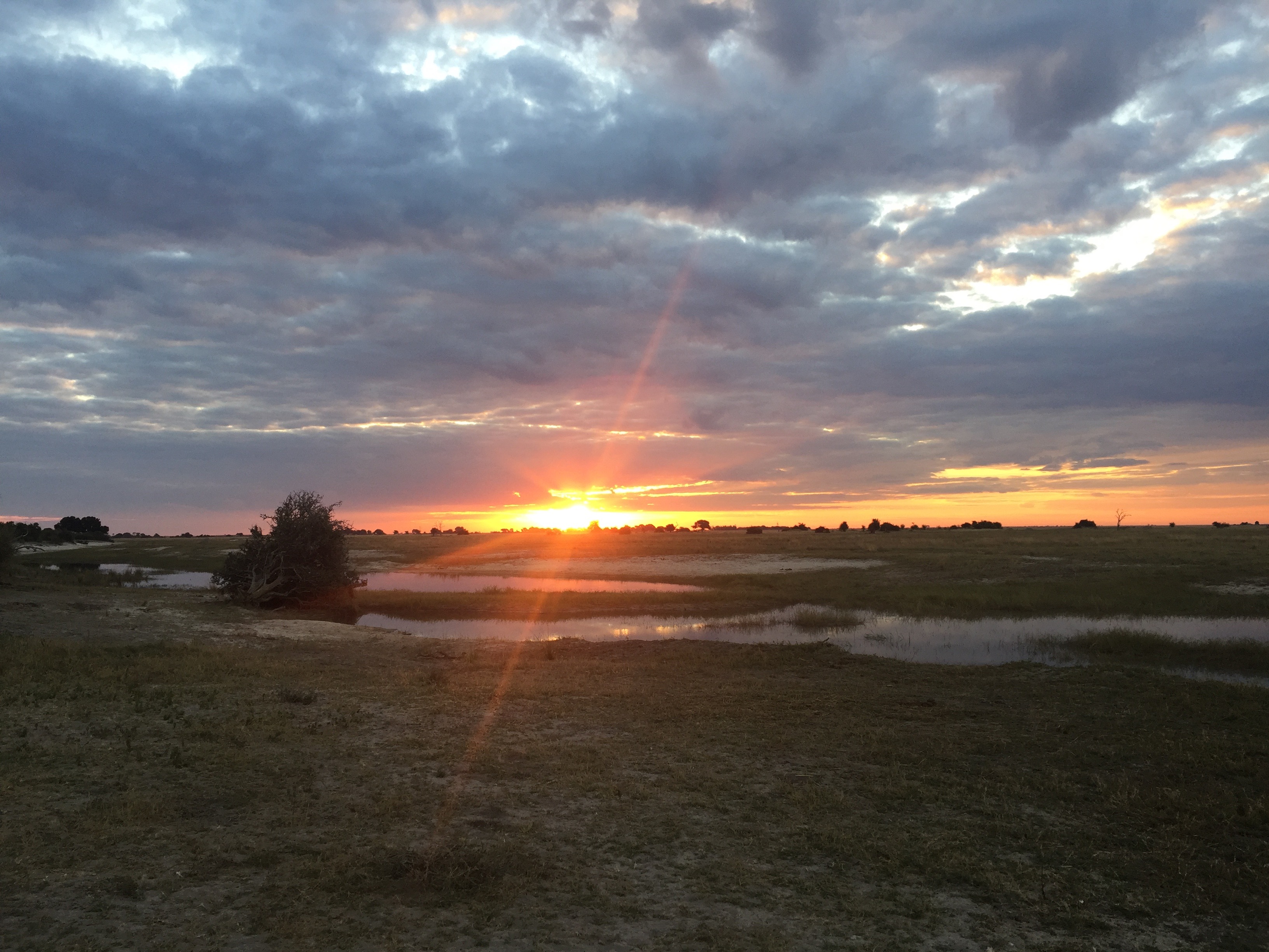 Jacada Photo Journal: Botswana | Jacada Travel