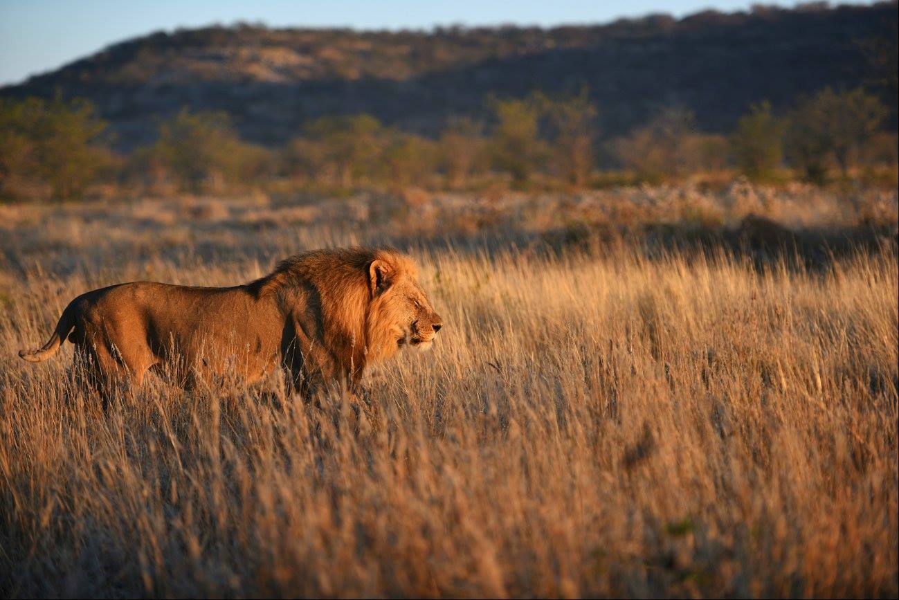 Jacada Photo Journal: Namibia | Jacada Travel