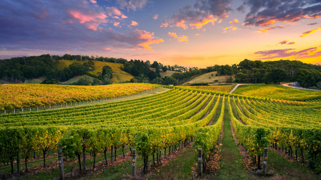 An In-depth Discovery of South Australia | Jacada Travel