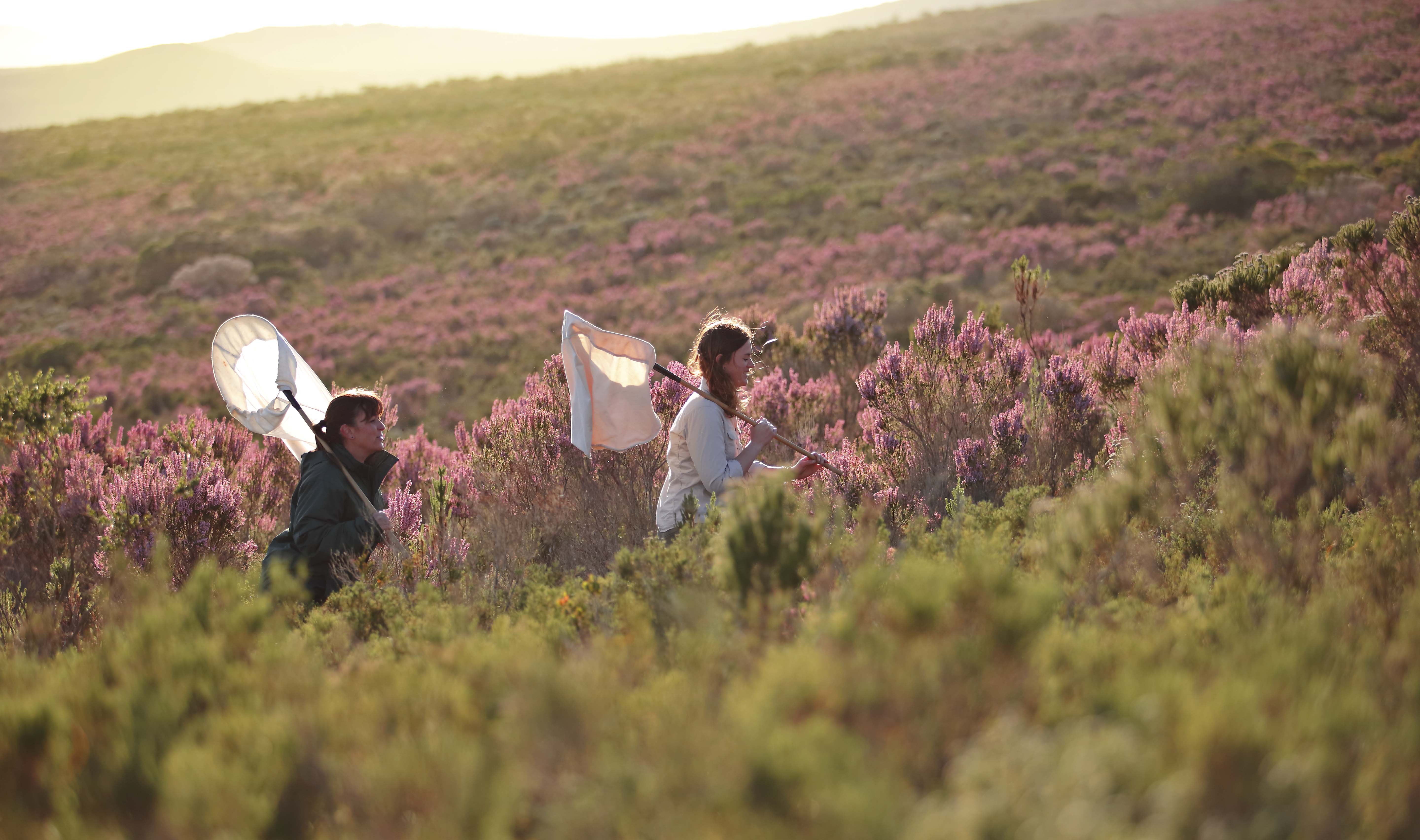 Positive Impact Pioneers: Julie Cheetham & Sean Privett, Grootbos ...