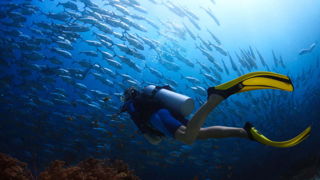 Bespoke Luxury Active & Adventure Tours for 2026/2027 | Jacada Travel
