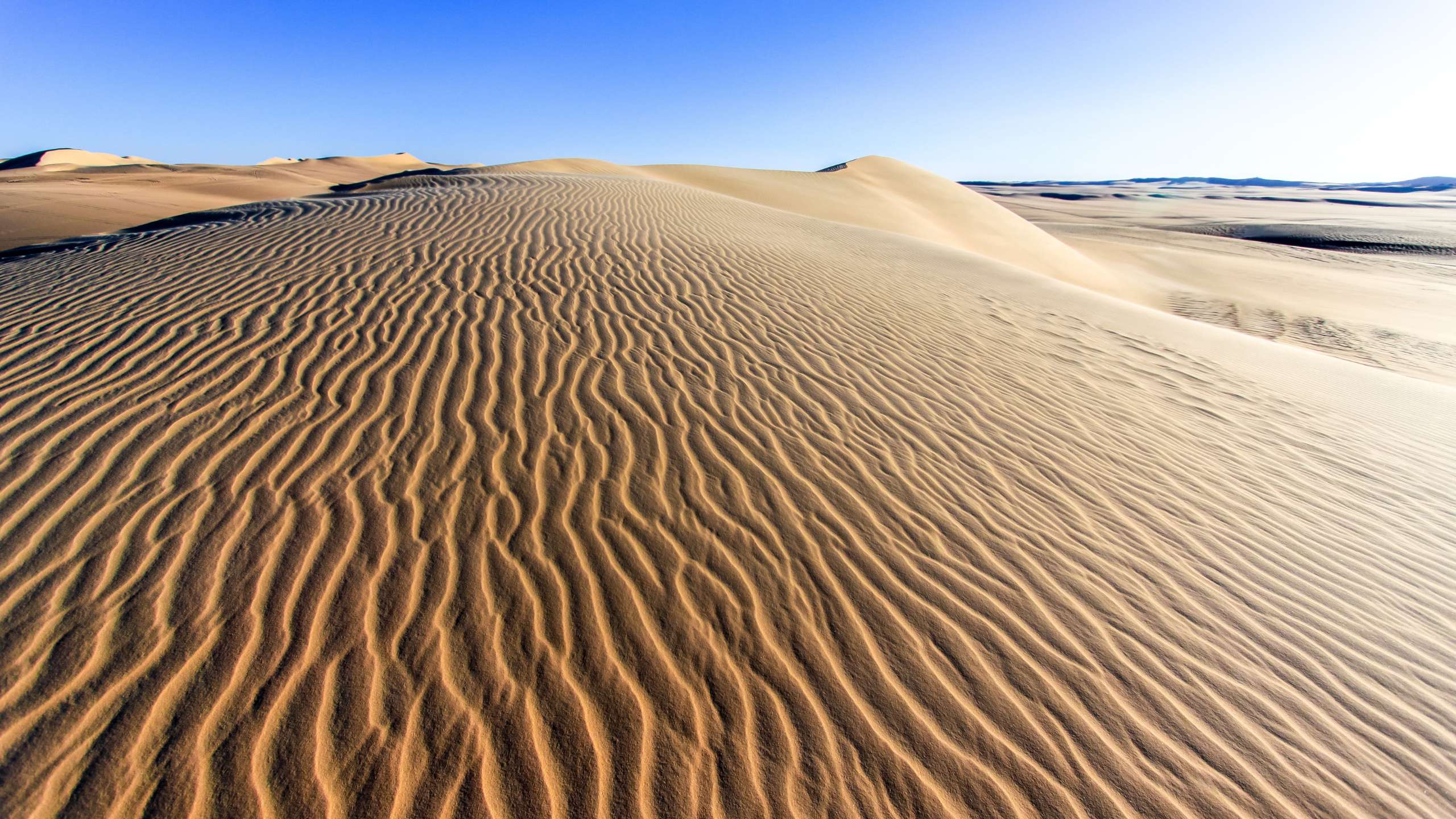 Luxury Tours & Vacations to The Sahara 2026/2027