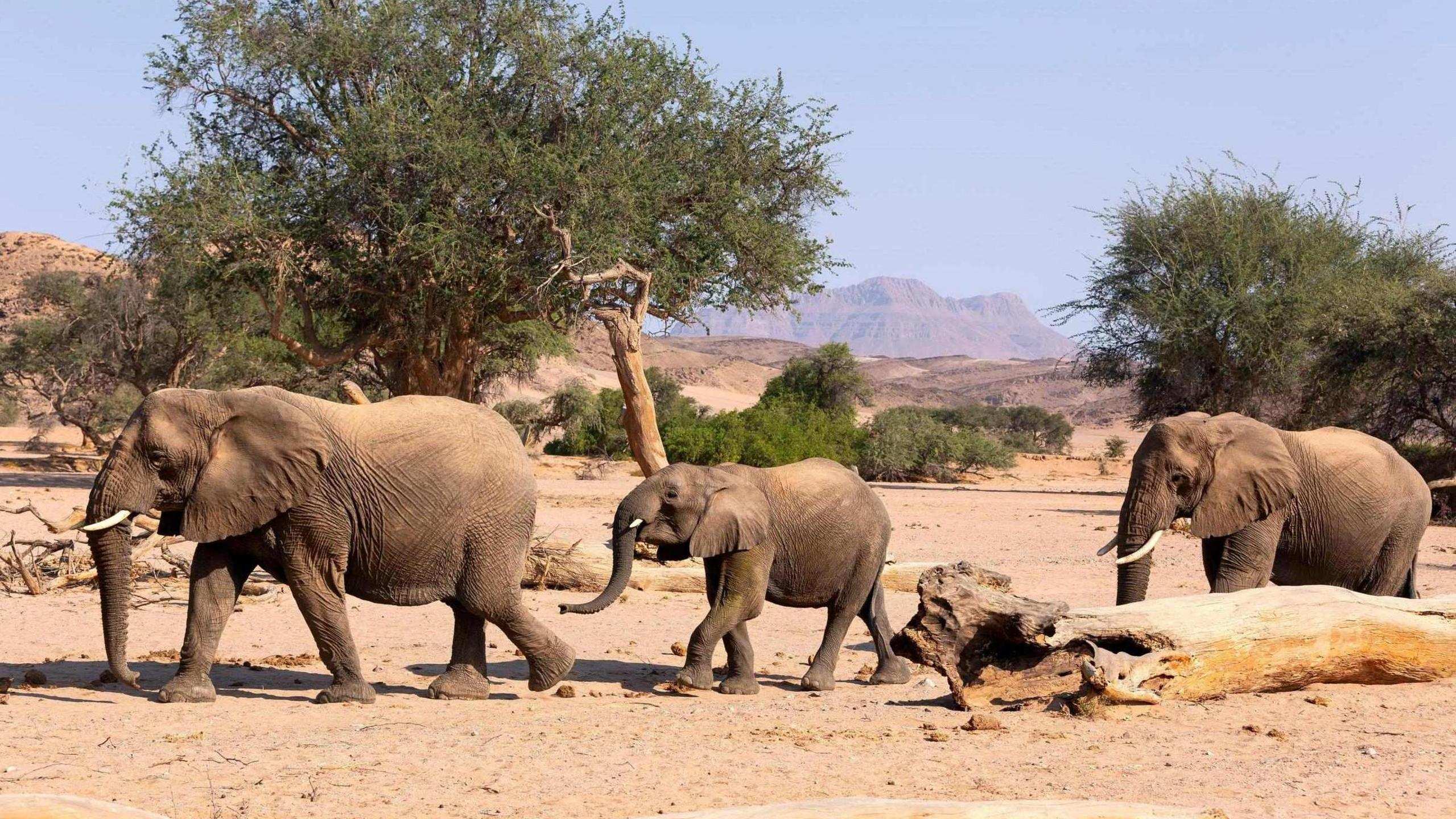 Epic Landscapes and Wildlife Experiences of South Africa | Jacada Travel