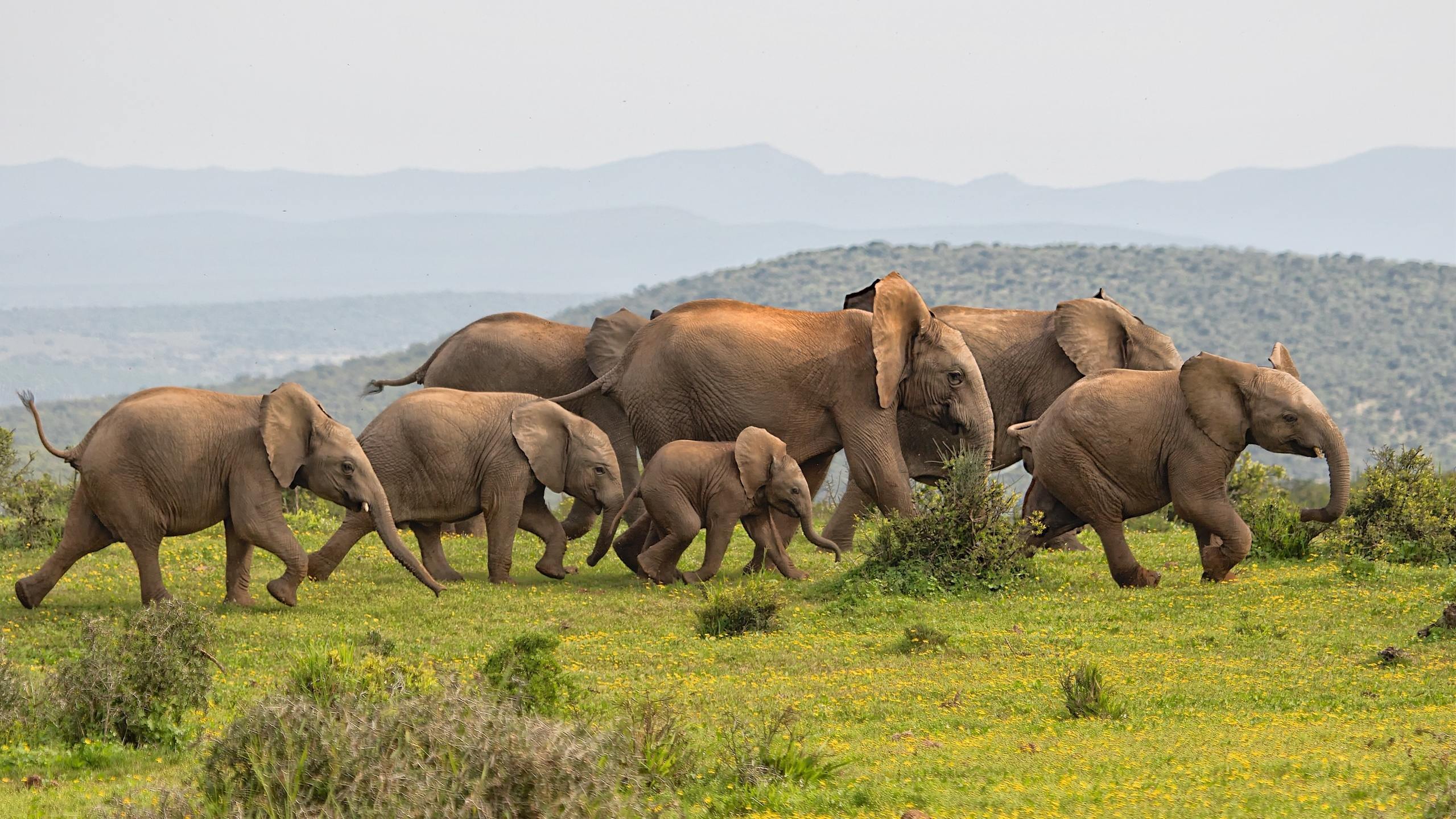 Malaria-Free Safaris in South Africa | Jacada Travel